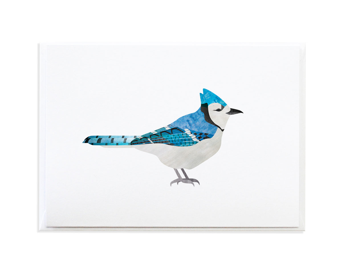 Blue Jay Card – Anne Green Design